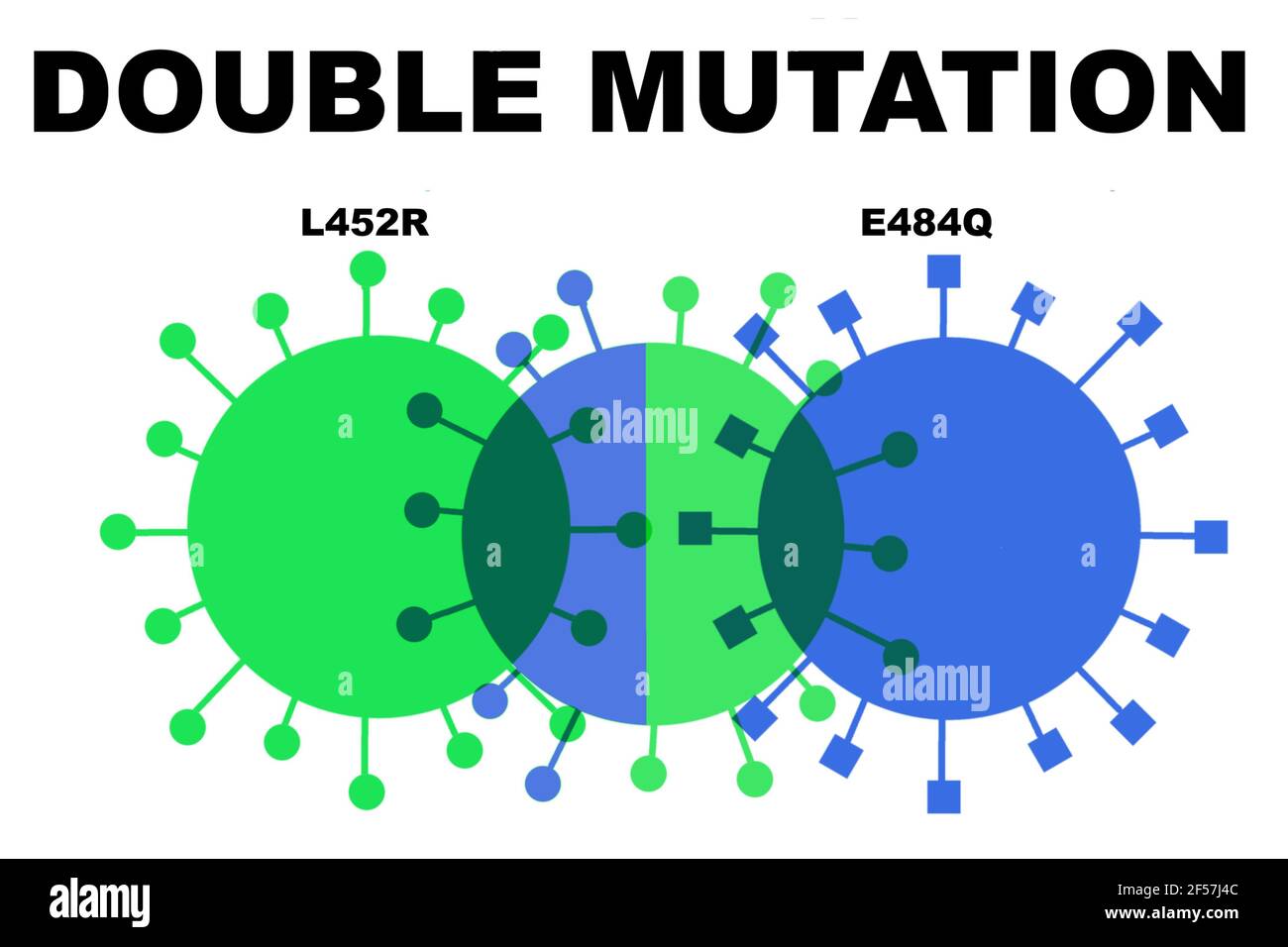 Covid scientific names hi-res stock photography and images - Alamy