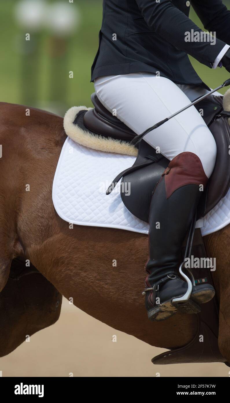 Equestrian leg position hi-res stock photography and images - Alamy