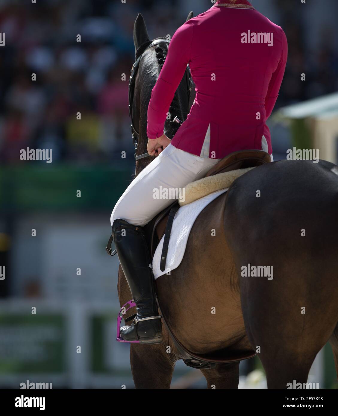 Equestrian rider seat position hi-res stock photography and images - Alamy