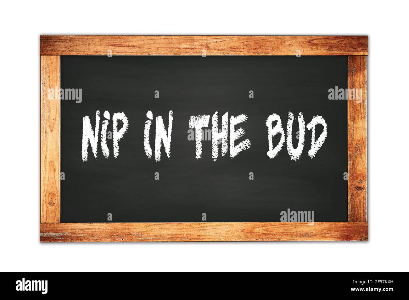 NIP IN THE BUD text written on black wooden frame school blackboard ...
