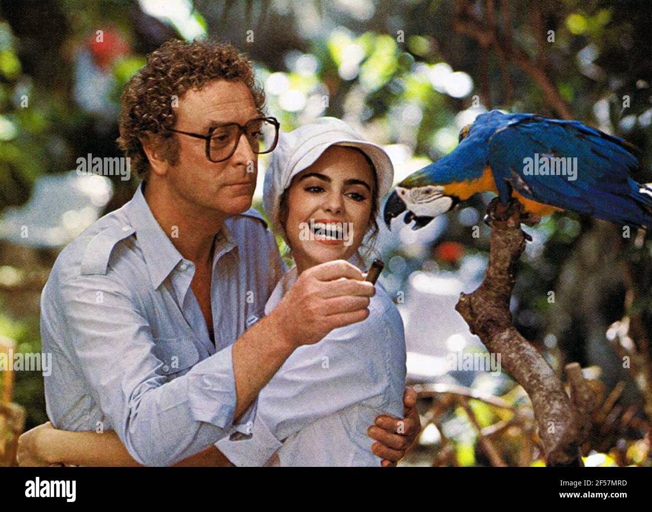 Blame it on rio hi-res stock photography and images - Alamy