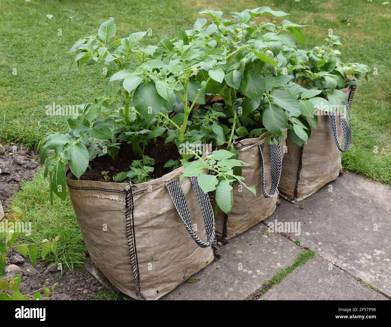 Three sacks hi-res stock photography and images - Alamy