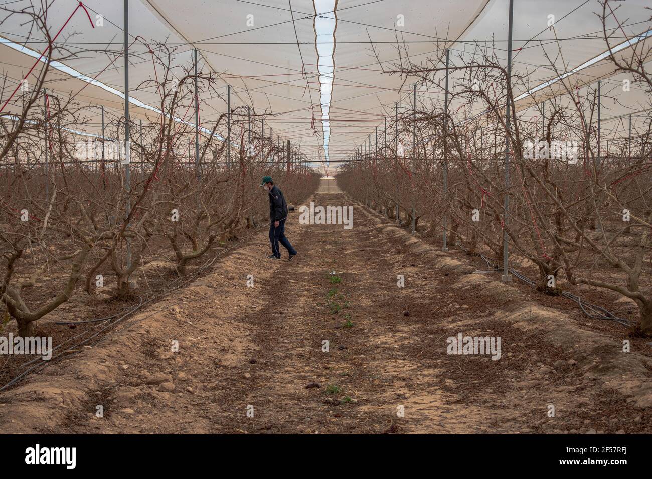 Farmer green crops cap hi-res stock photography and images - Alamy