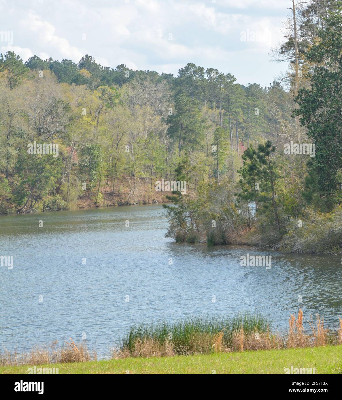 Homochitto national forest recreation area hi-res stock photography and ...