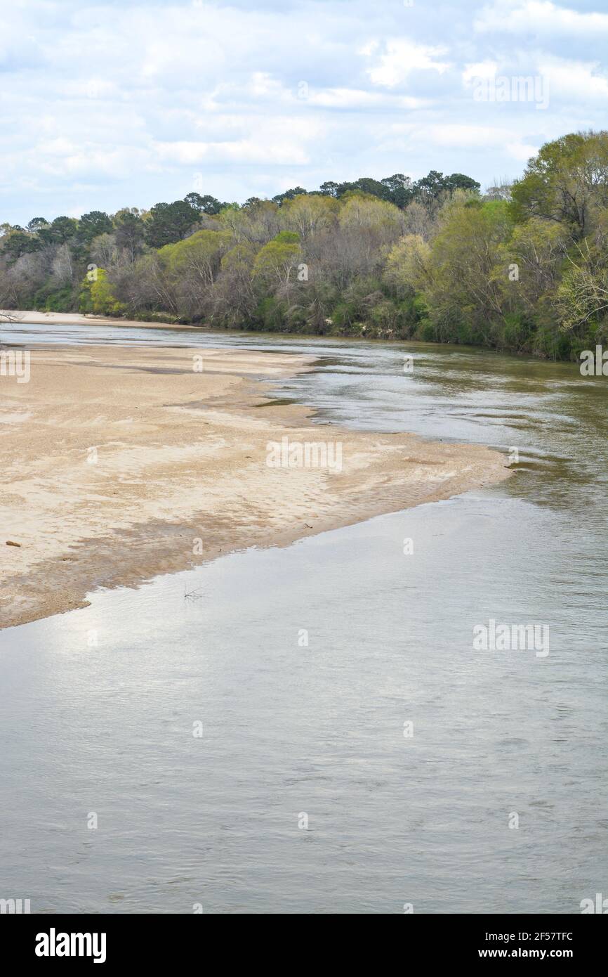 The Homochitto River flowing peacefully through the forest in Franklin ...