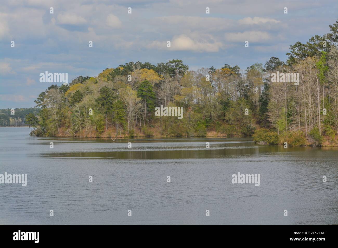 Beautiful view of Okhissa Lake Recreation Area in Homochitto National ...