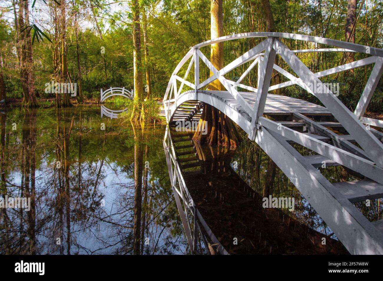 White wooden footbridge over a blackwater swamp at Magnolia Plantation ...