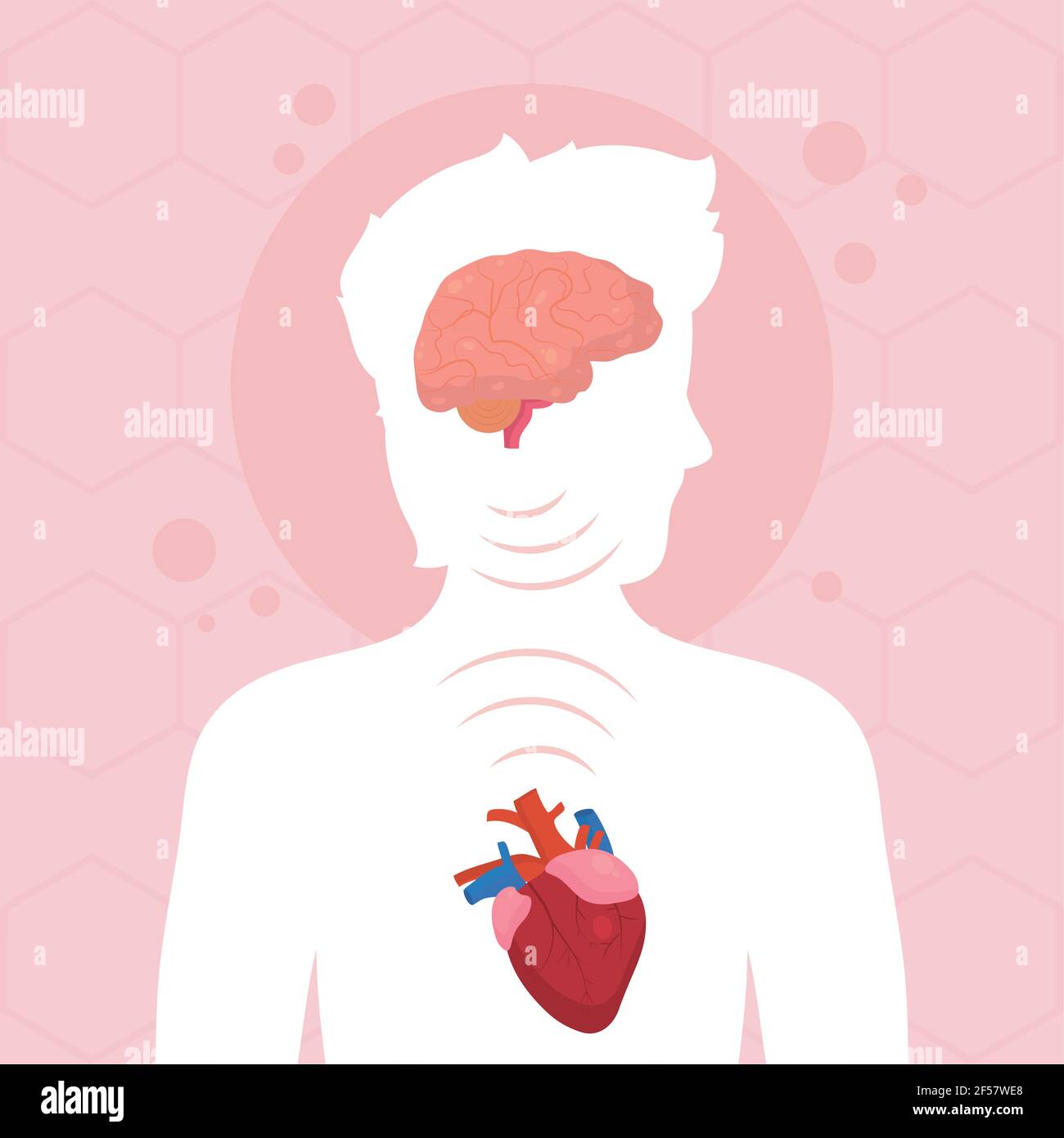 person with brain and heart Stock Vector Image & Art - Alamy