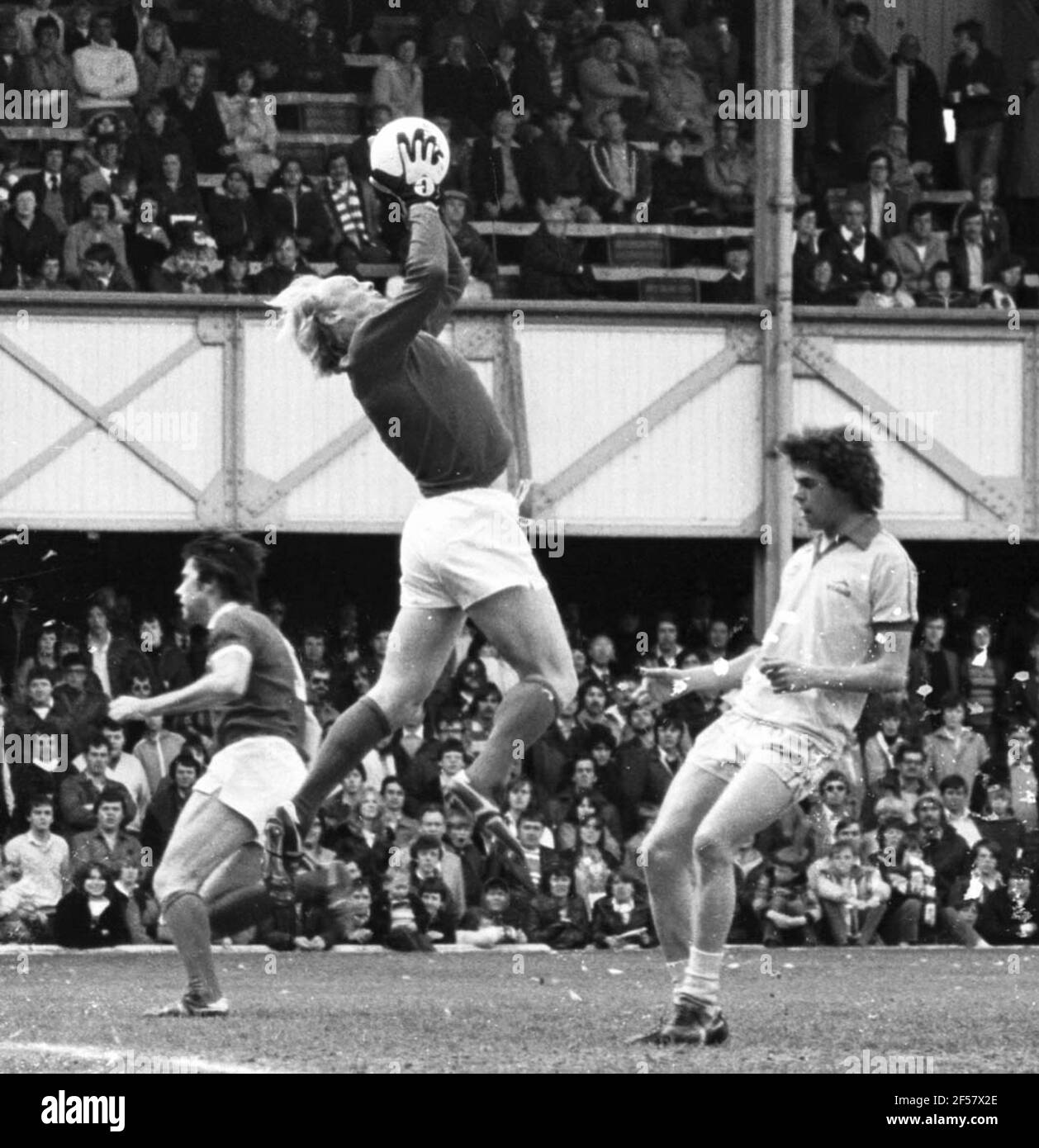 Peter mellor hi-res stock photography and images - Alamy