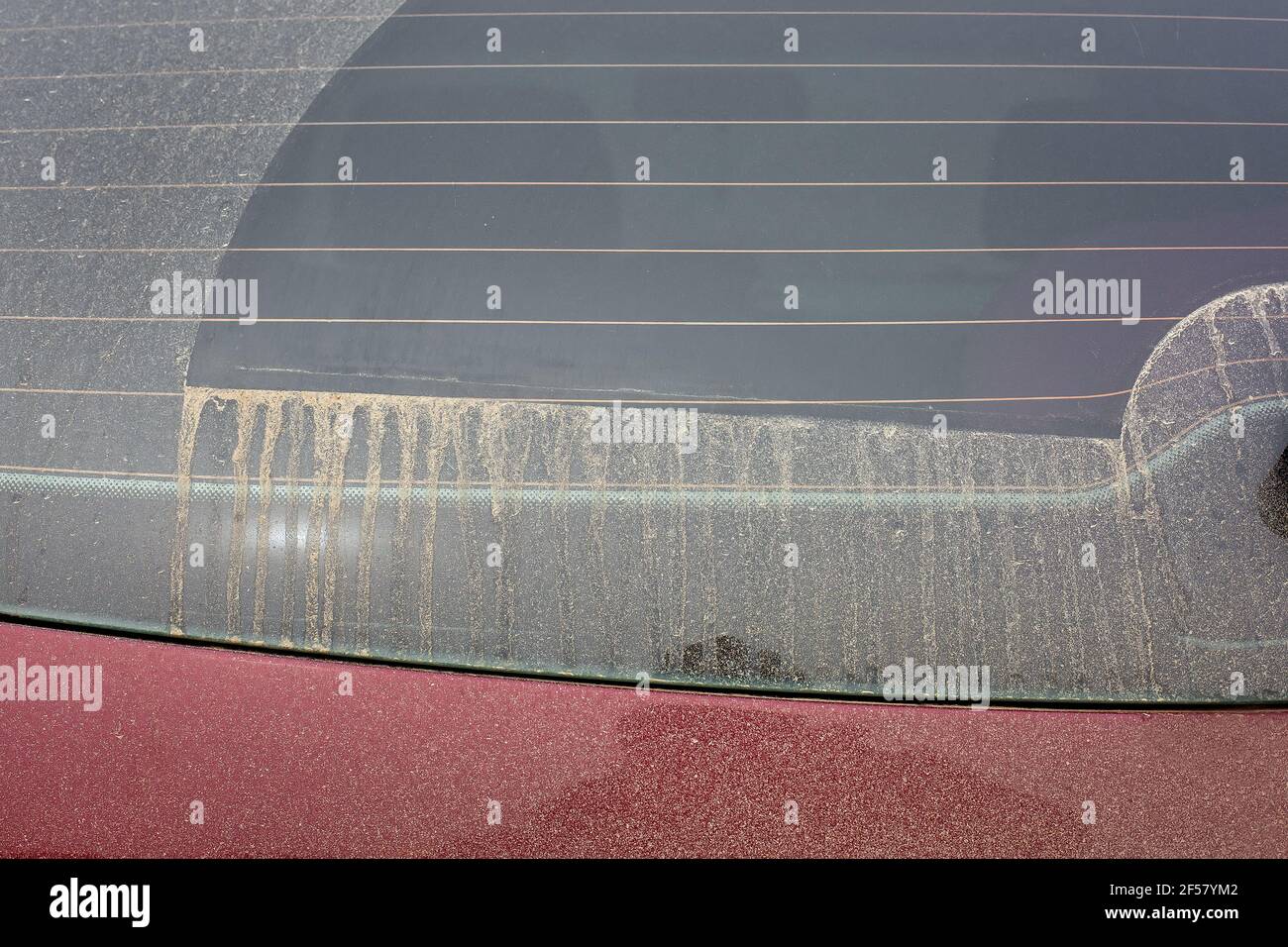 back window of a red car covered with a layer of dust ans swipe with ...