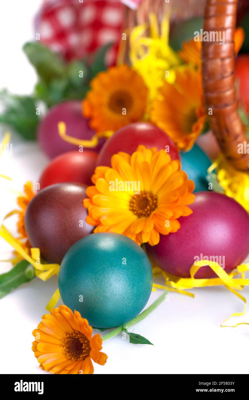 Free range eggs colorfully eggs painted for Easter Stock Photo - Alamy