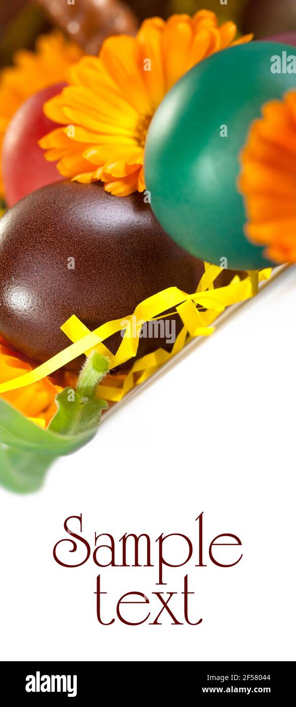 Free range eggs colorfully eggs painted for Easter Stock Photo - Alamy