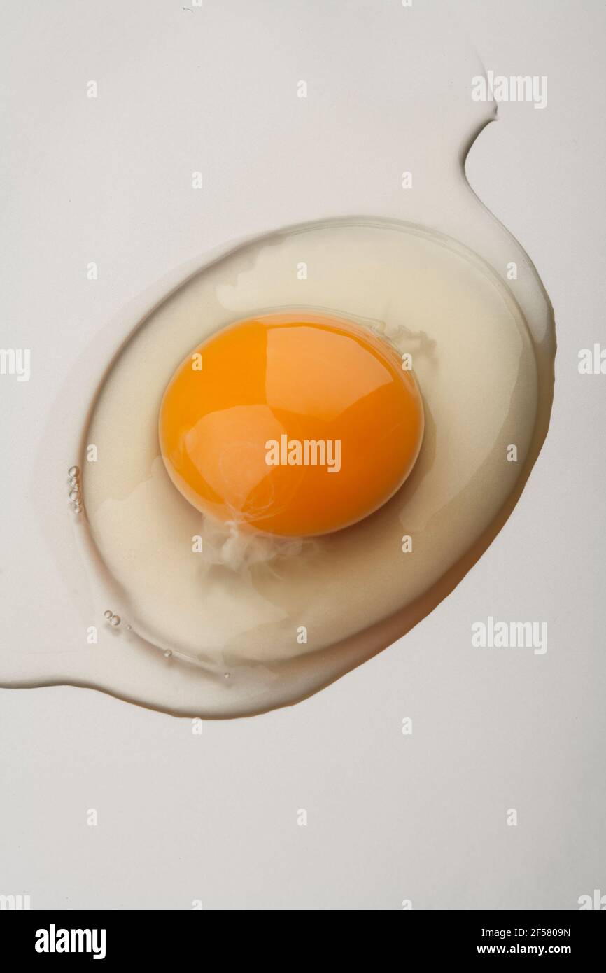 Free range organic egg yolk closeup Stock Photo - Alamy