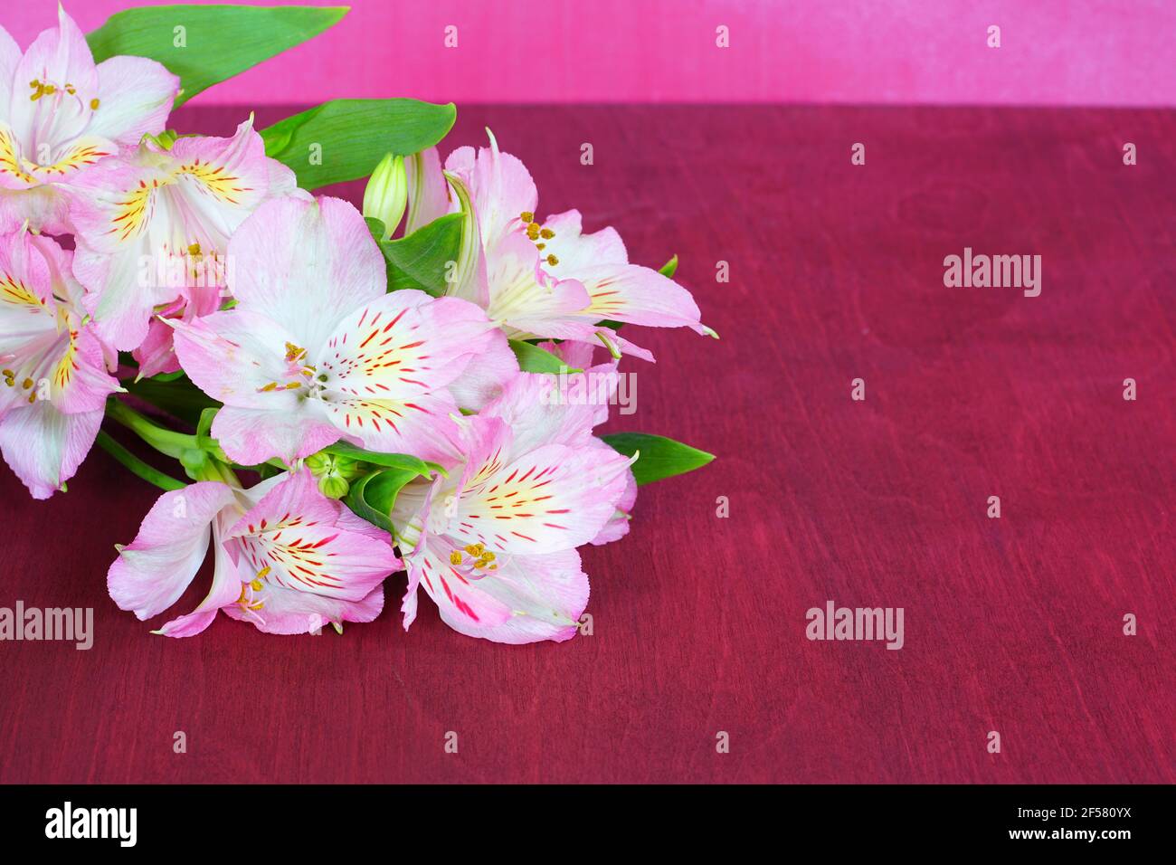 A bunch of white and pink Alstroemeria Lily of the Incas flowers on a ...