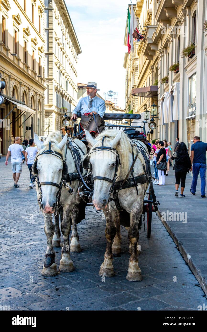 Carriage Drawn by Two White Horses with a Coachman in the City of ...