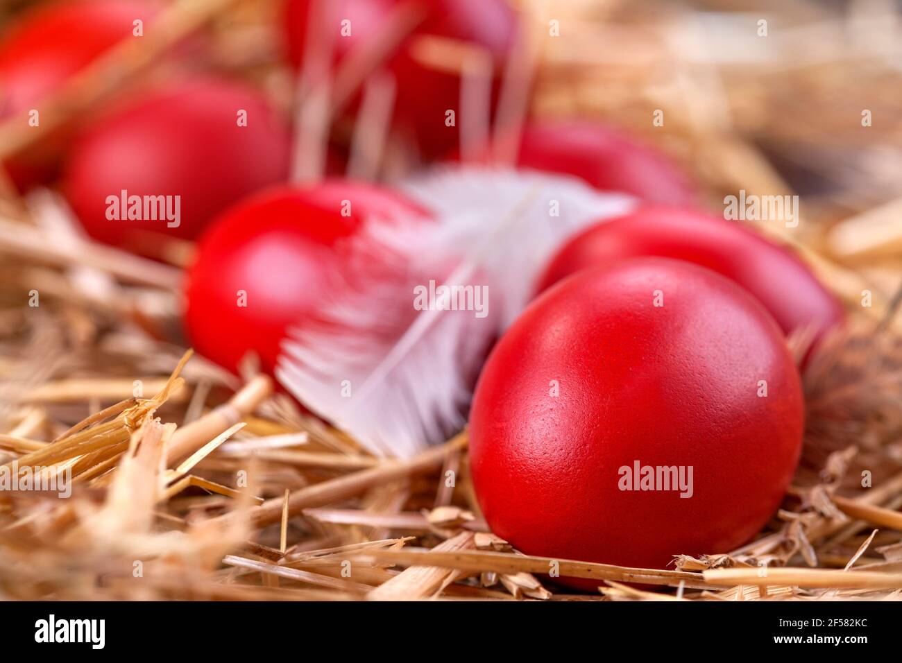 Colorfully eggs hi-res stock photography and images - Alamy