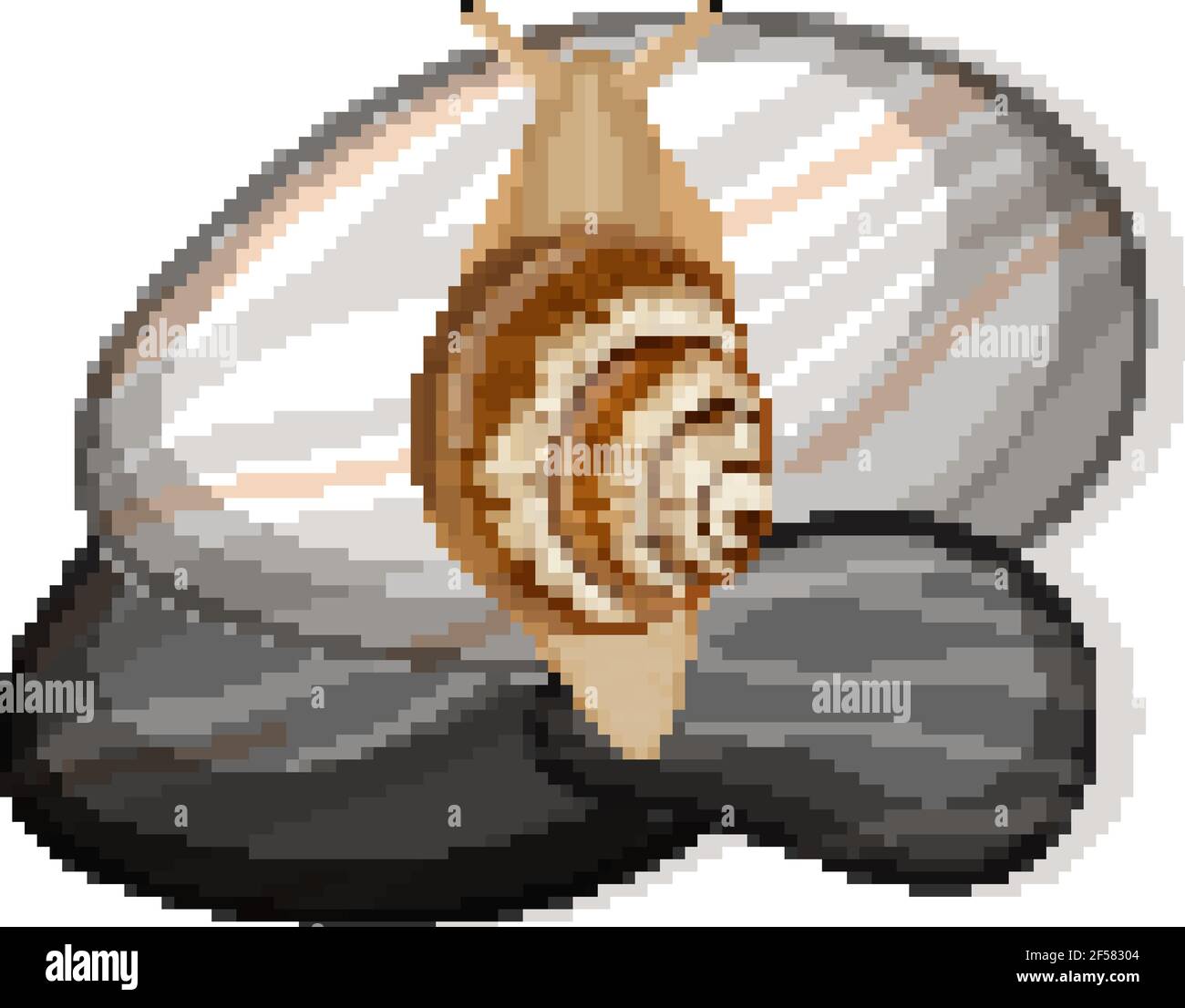Top view of snail on a stone on white background illustration Stock ...