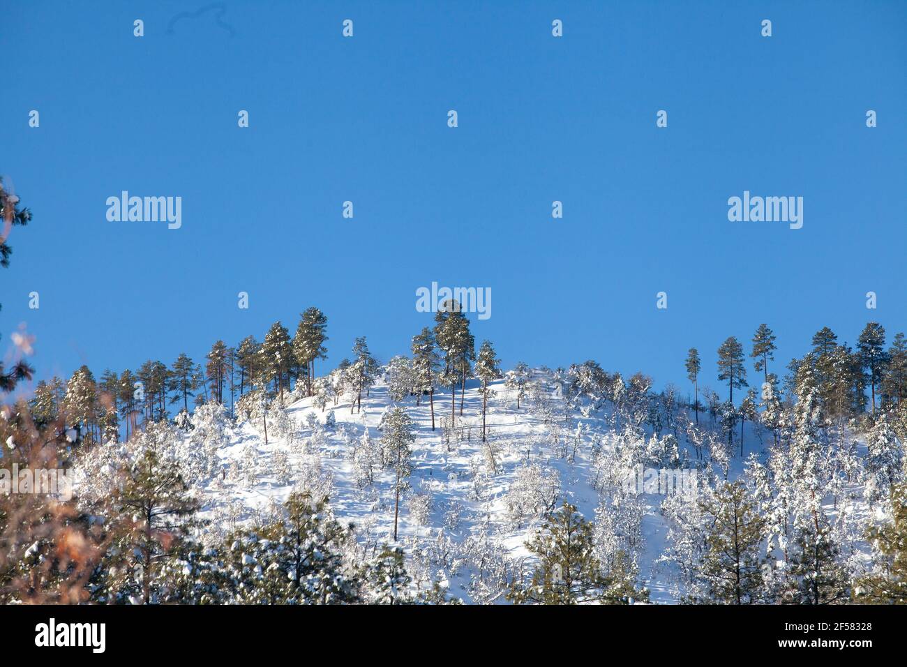 Beautiful sunshine and blues skies after a winter snow storm in ...