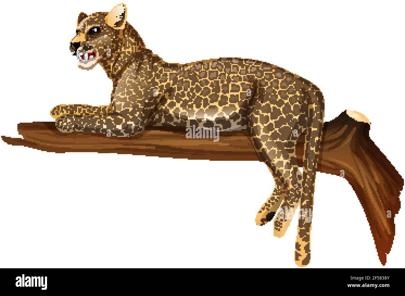 Leopard lying on a branch on white background illustration Stock Vector ...