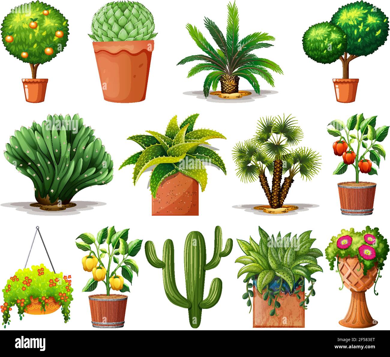 Set of different plants in pots isolated on white background ...