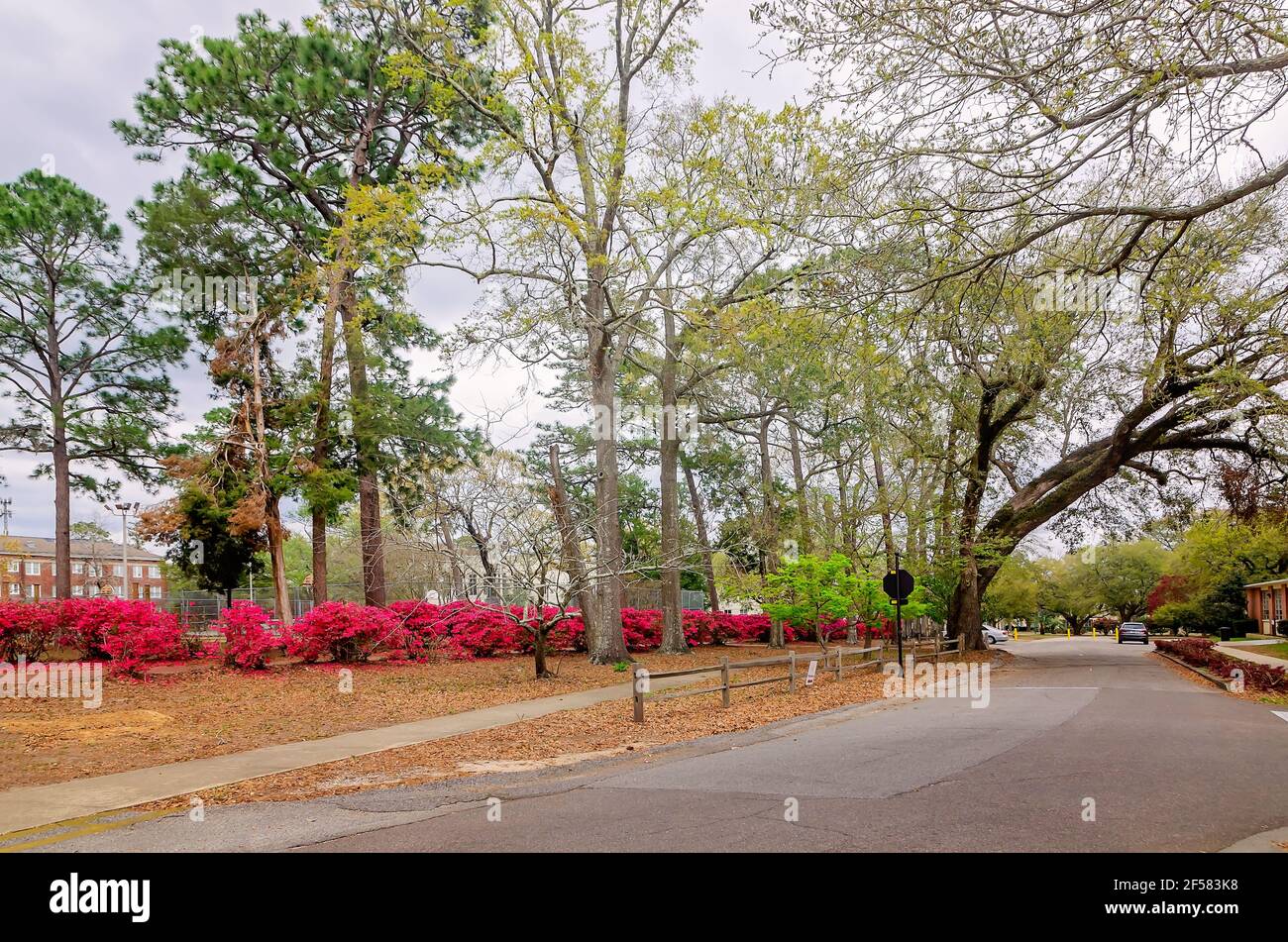Spring hill college mobile hi-res stock photography and images - Alamy
