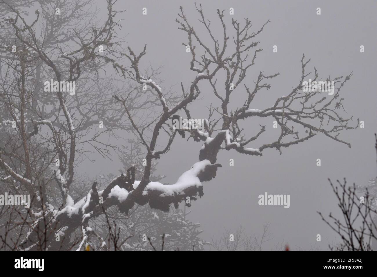 Harsh weather hi-res stock photography and images - Alamy