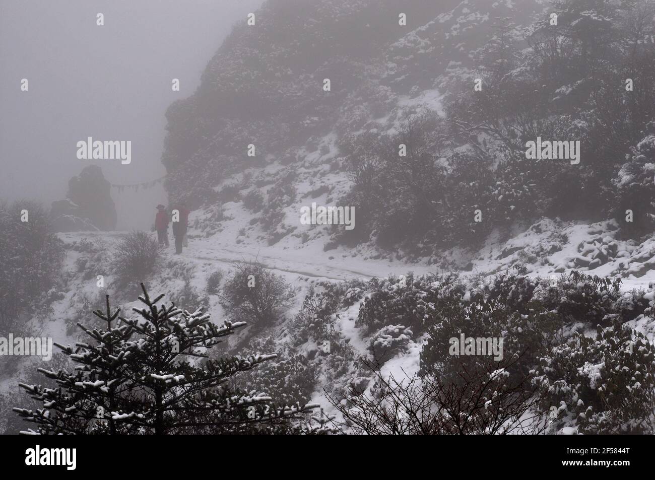 Bad weather and fully covered with snow path ways Stock Photo - Alamy