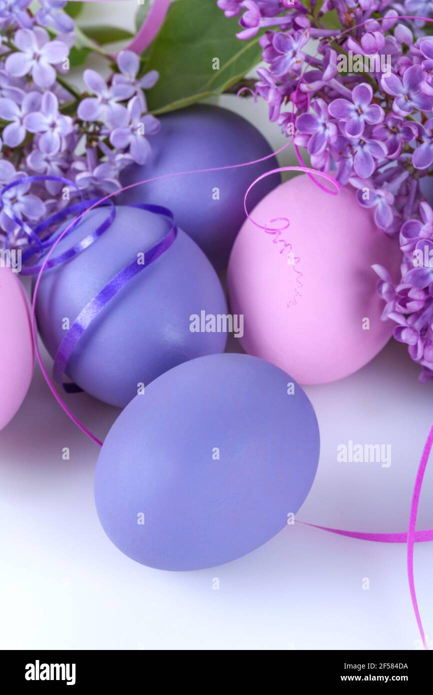 Violet easter egg hi-res stock photography and images - Alamy