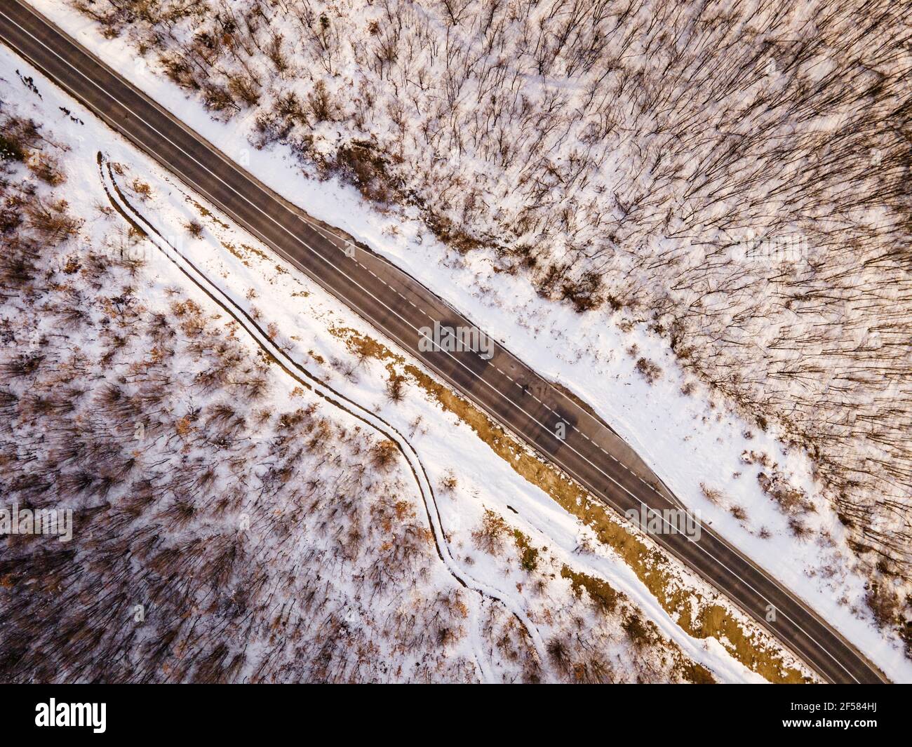 High angle top down aerial view drone image on road trough the trees ...