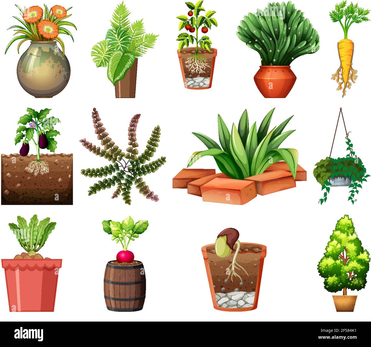 Set of different plants in pots isolated on white background ...