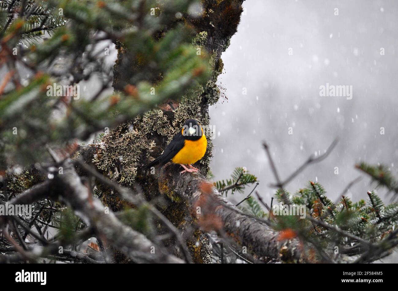Ten thousand feet altitude hi-res stock photography and images - Alamy