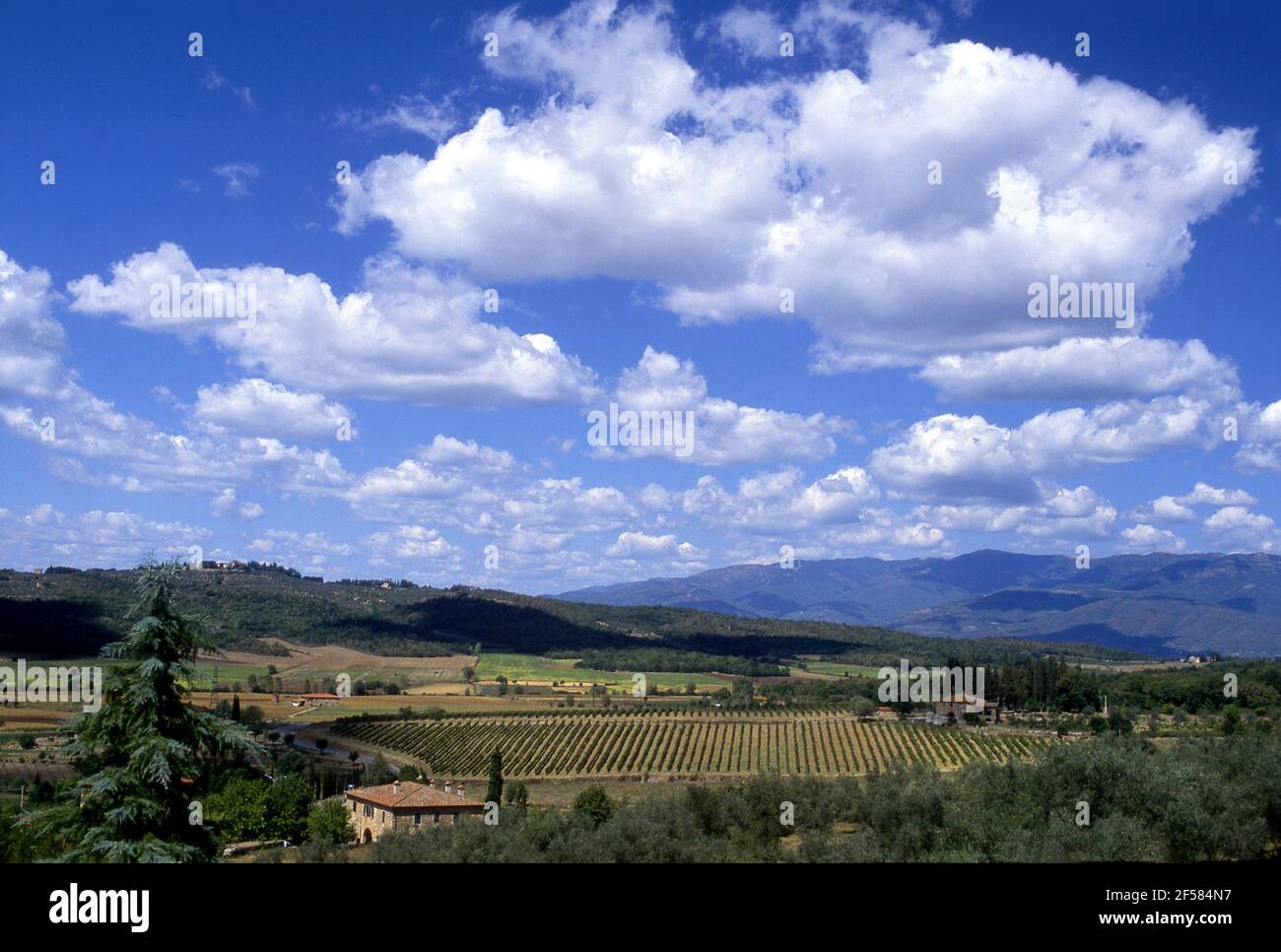 Agricultural landscape with farmhouse in the Valdarno region of Tuscany ...