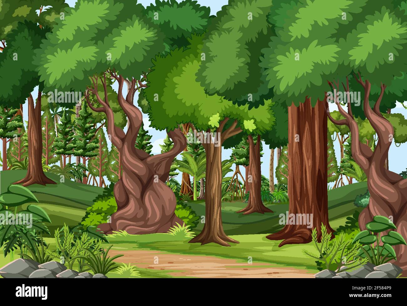 Forest scene with hiking track and many trees illustration Stock Vector ...