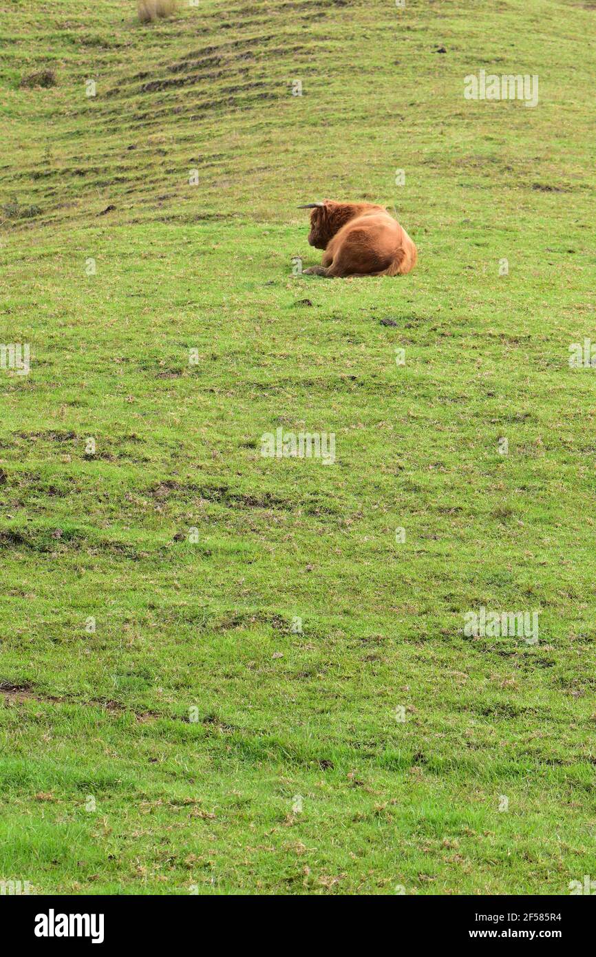 Eroding paddock hi-res stock photography and images - Alamy