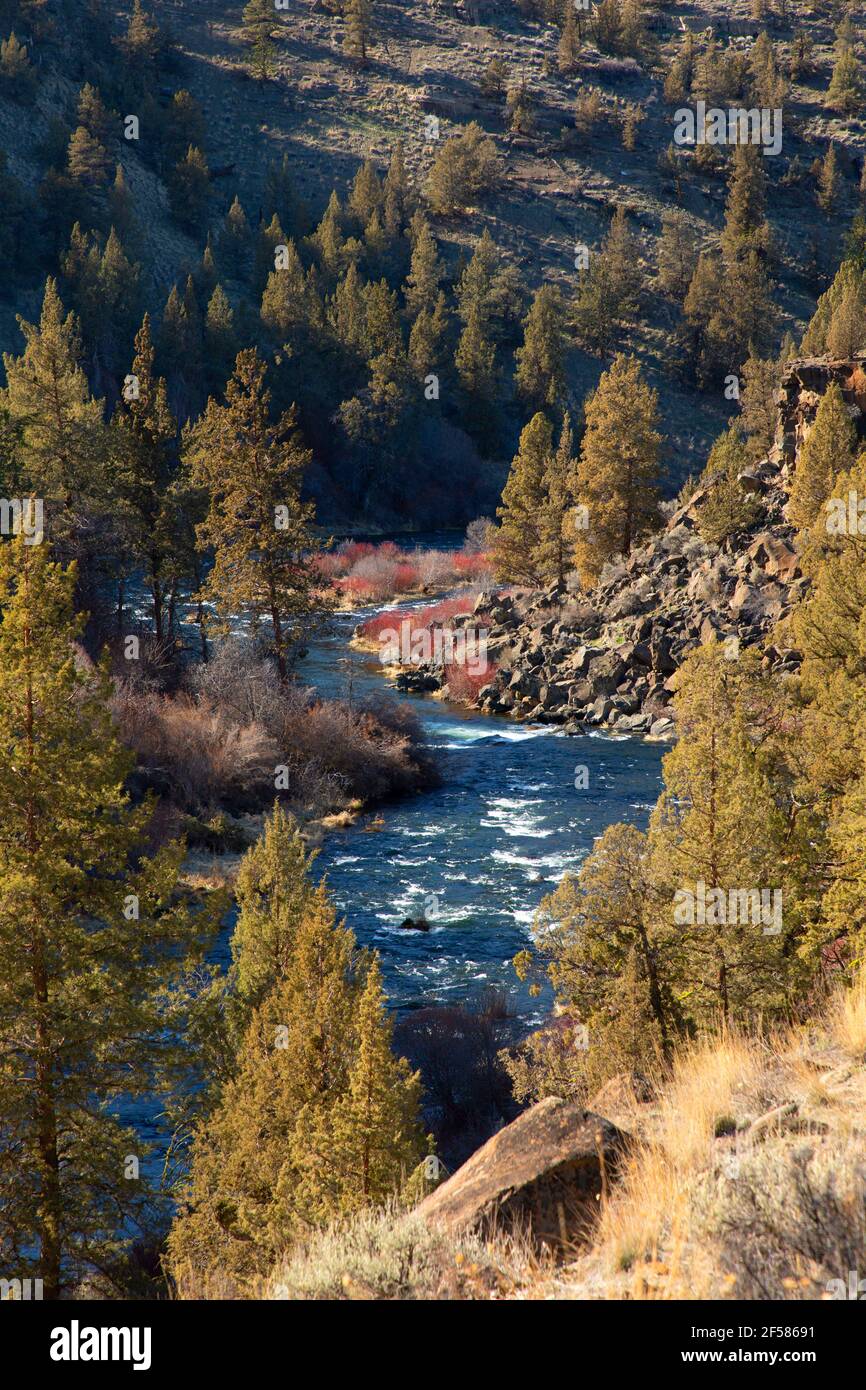 Deschutes Wild & Scenic River from Foley Waters Trail, Steelhead Falls ...