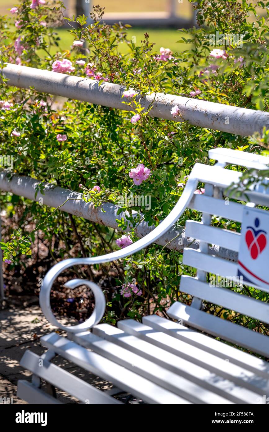 Rose Arch Bench High Resolution Stock Photography and Images - Alamy
