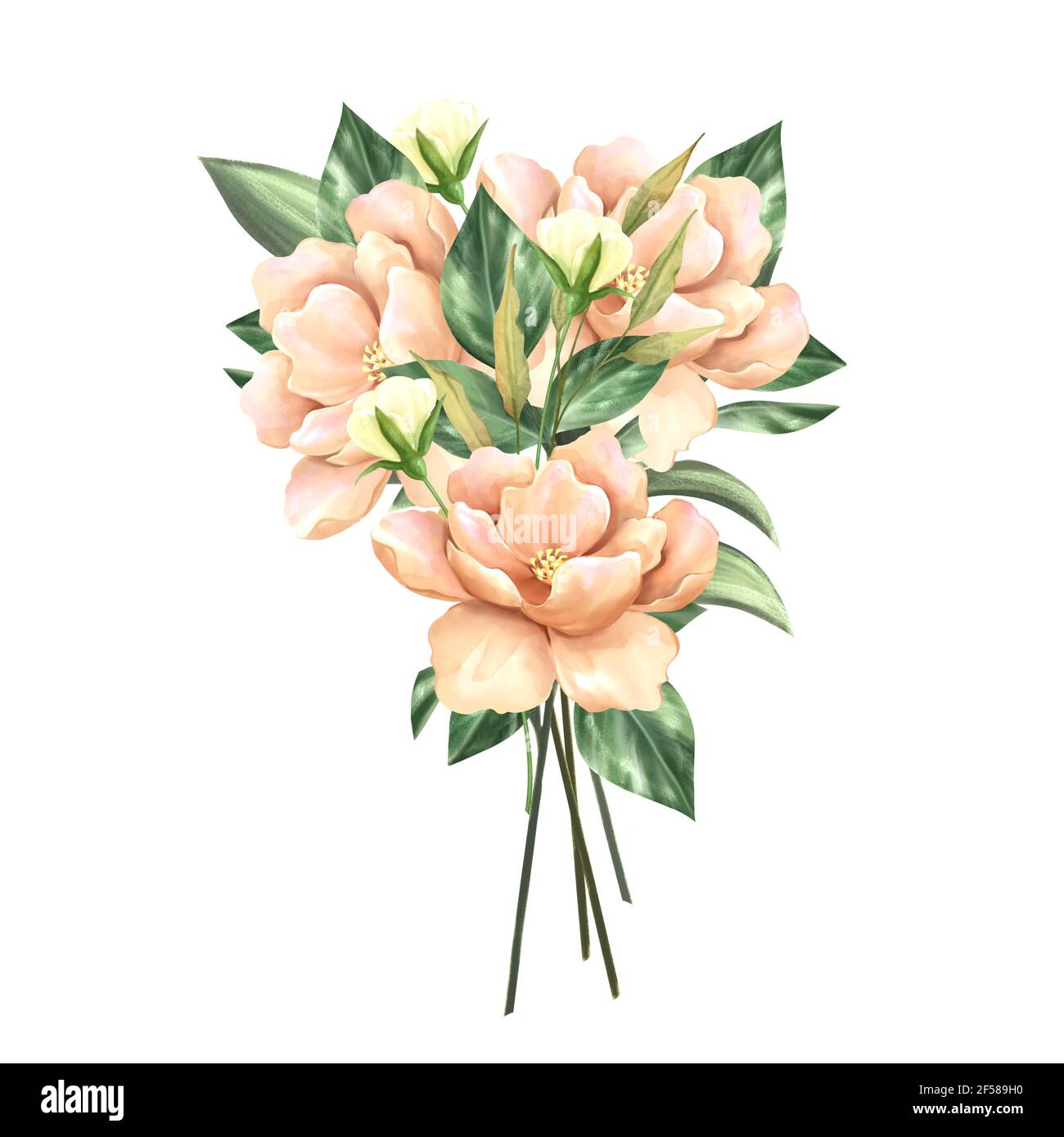 Yellow flowers in pastel colors. Bouquet of flowers isolated on white ...