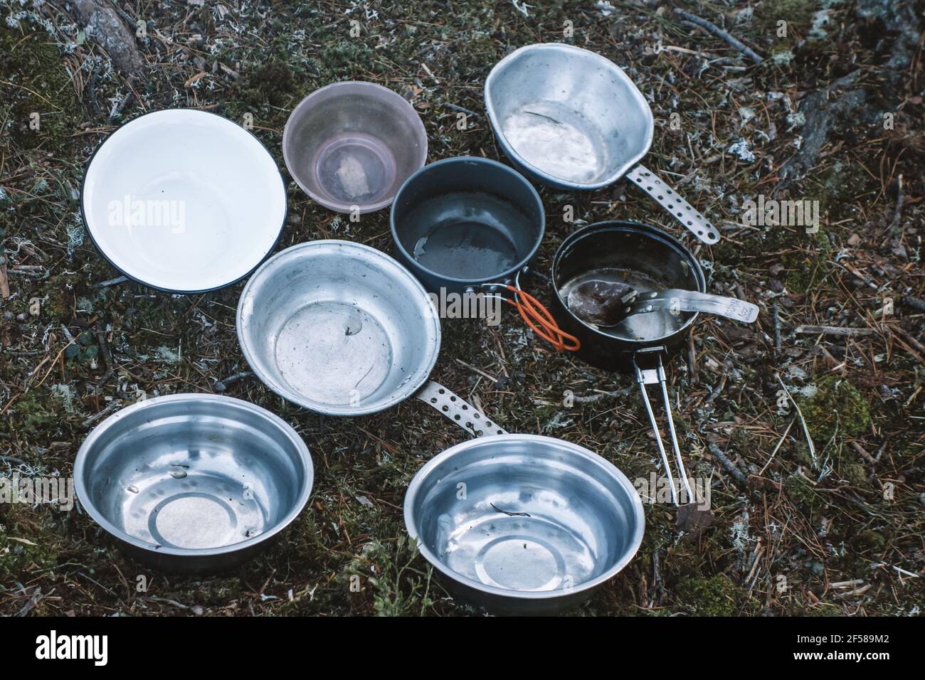 Eight plates stand on the ground in the forest, waiting for the ready ...