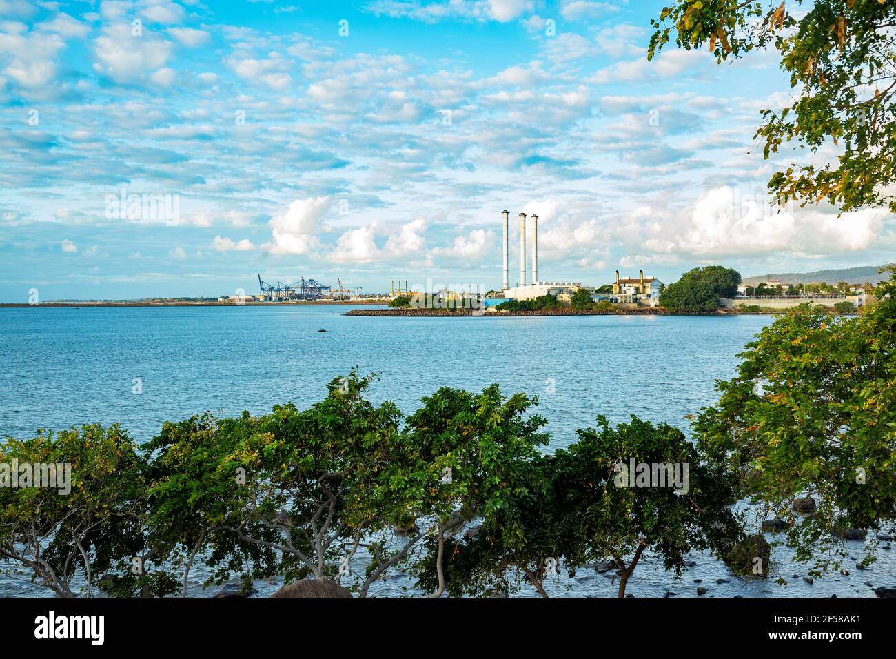 Sable tropical hi-res stock photography and images - Alamy