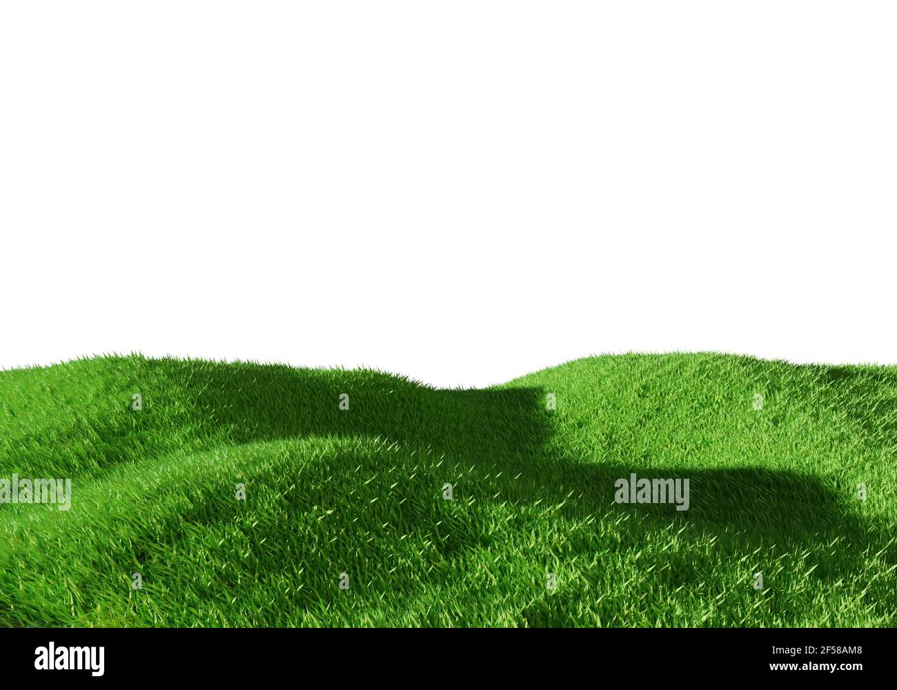 3d rendering. Green grass field isolated on white background Stock ...