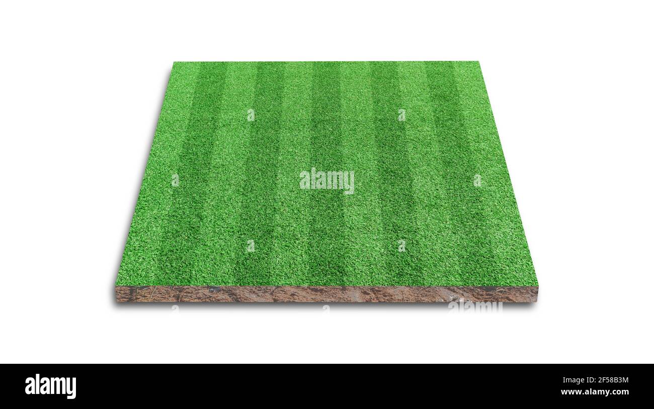 3D Rendering. Stripe of soccer lawn field, Green grass football field ...
