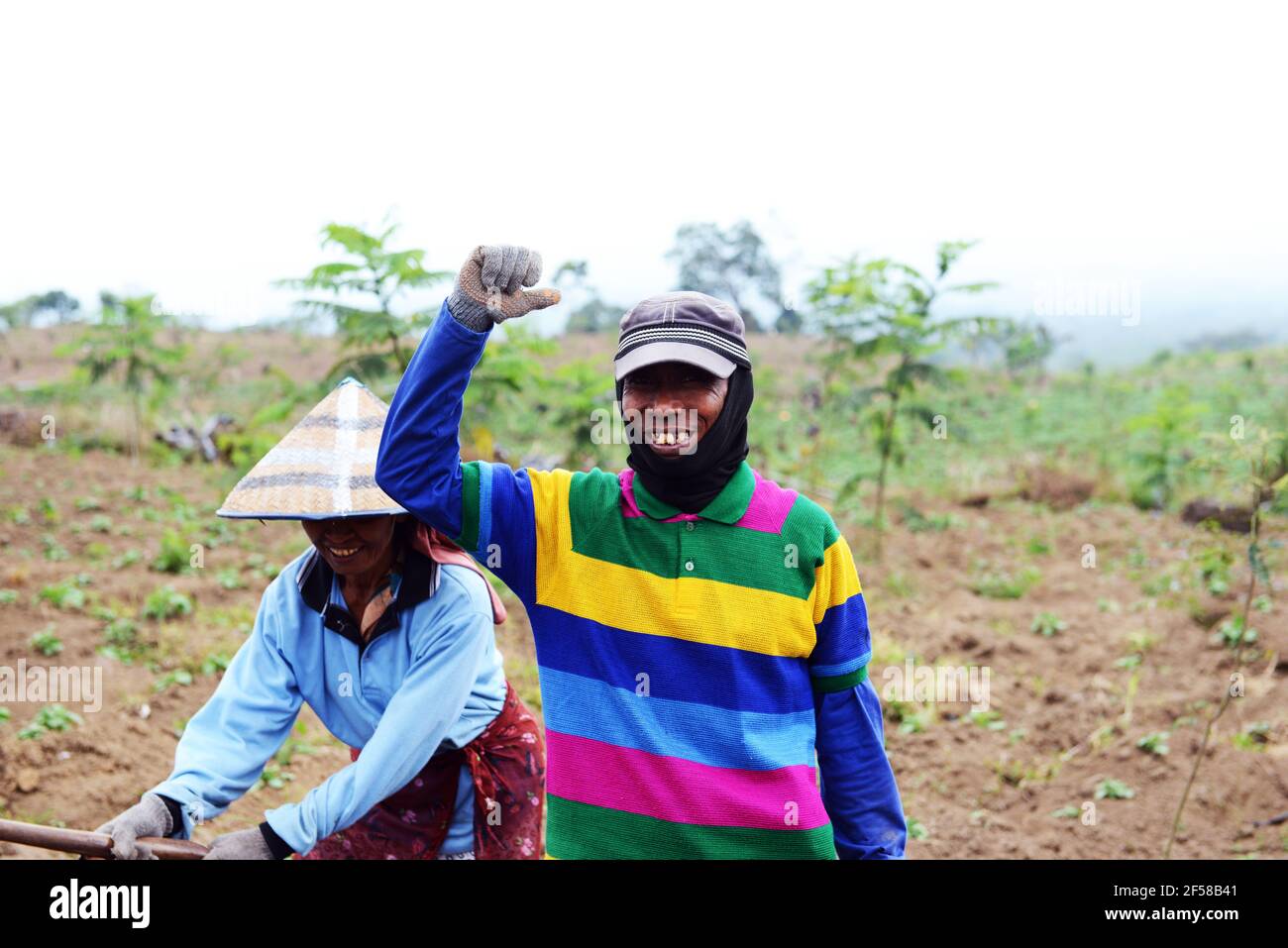 Javanese farmers working in the field. Eastern Java, Indonesia Stock ...