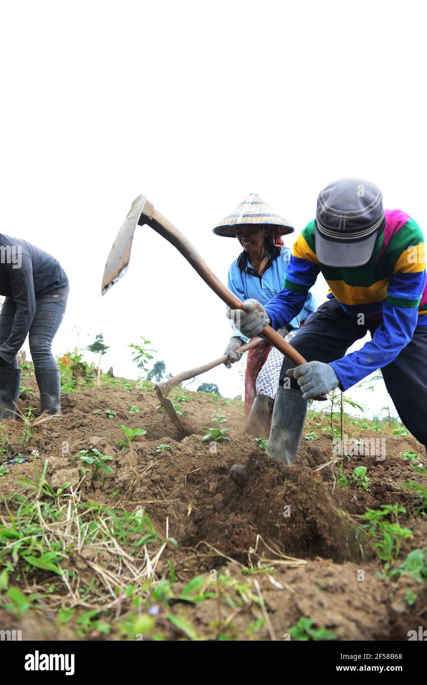 Farmers hat hi-res stock photography and images - Alamy