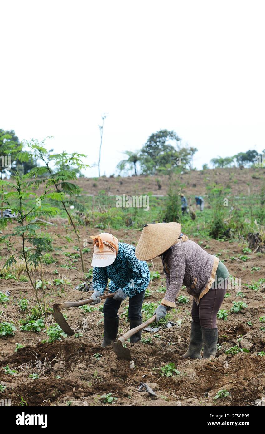 Farmers hat hi-res stock photography and images - Alamy