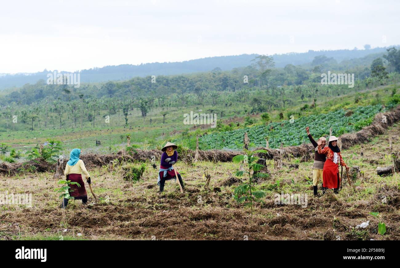 Farmers in landscape hi-res stock photography and images - Alamy