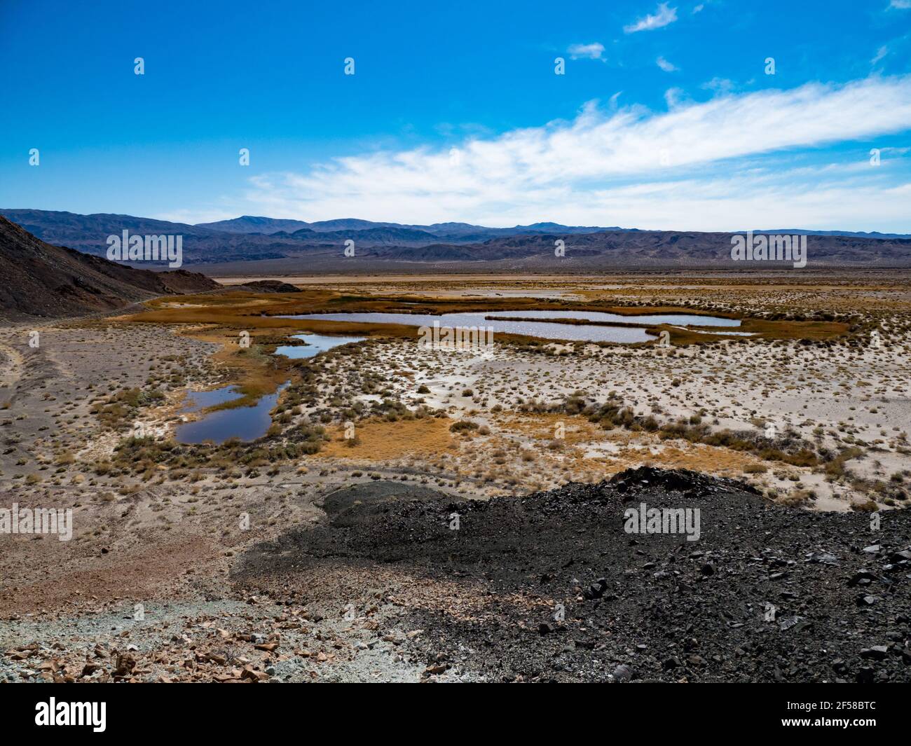 The wetlands of Saratoga Springs home to an endemic pupfish, in Death ...