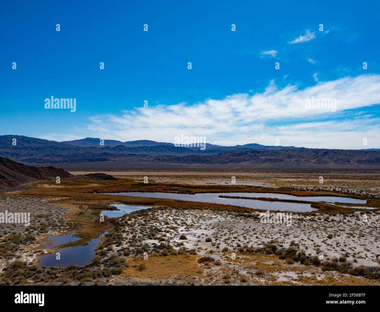 The wetlands of Saratoga Springs home to an endemic pupfish, in Death ...