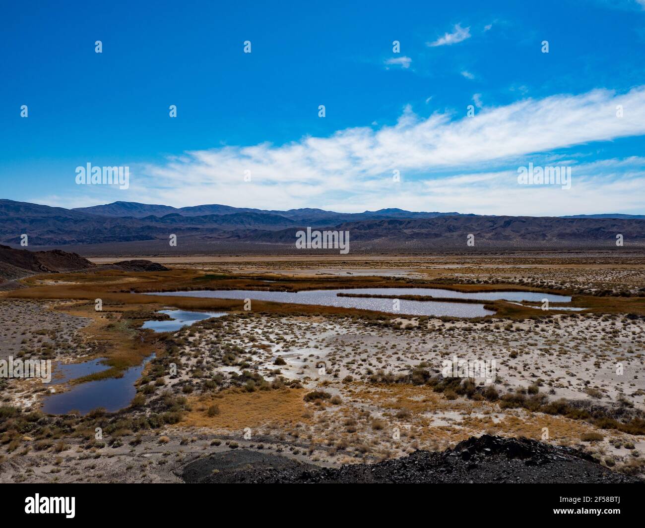 The wetlands of Saratoga Springs home to an endemic pupfish, in Death ...