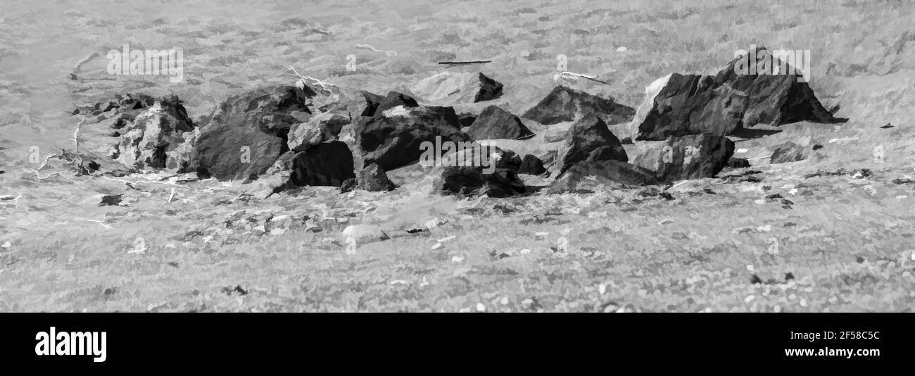 A natural grouping of rocks on the beach makes it look like someone is ...