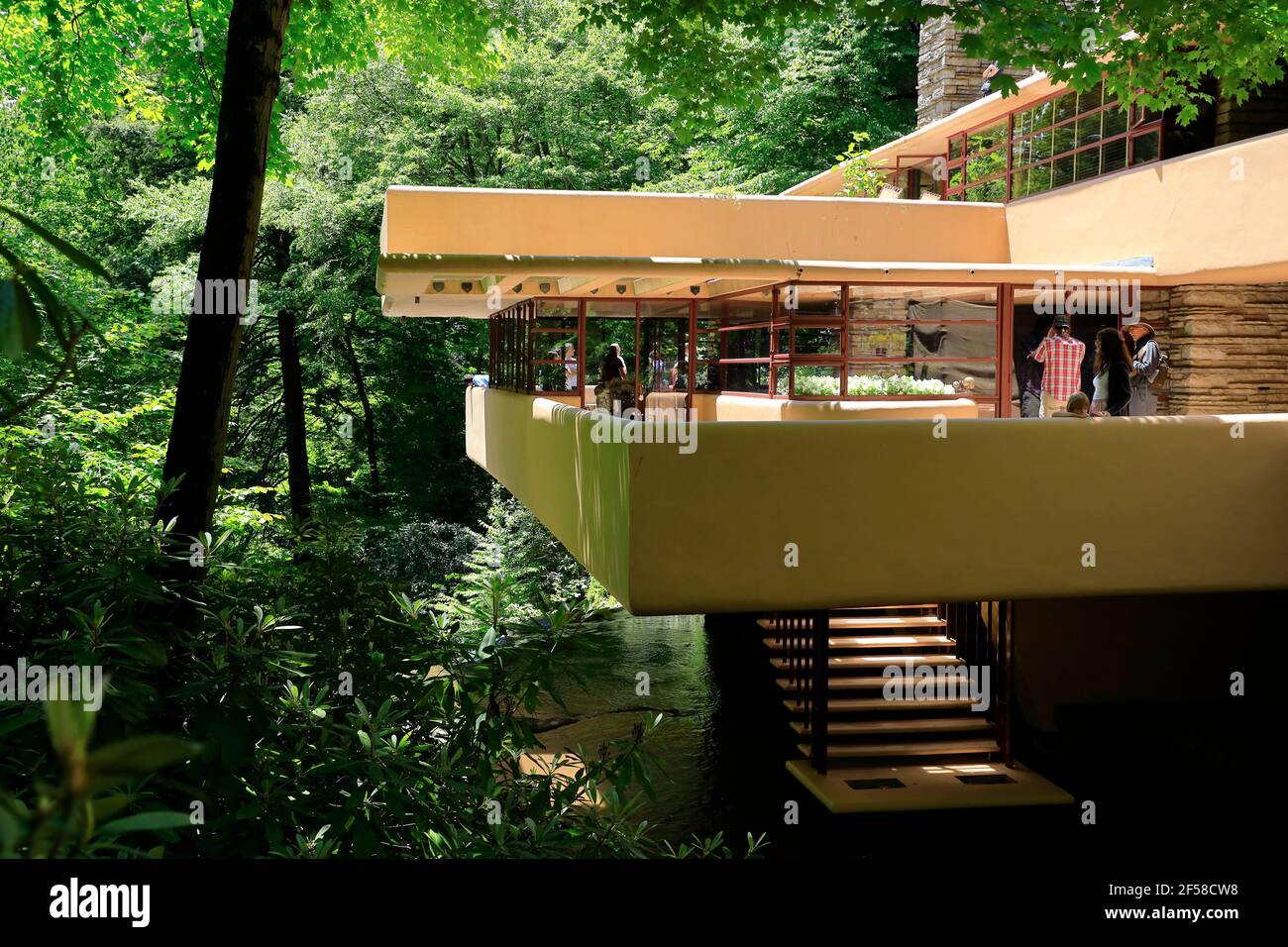 Falling Water Interior Tree